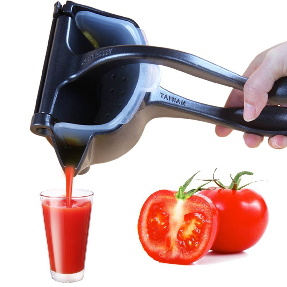 15 Best Lemon Squeezers (& Reviews) which are Available Online