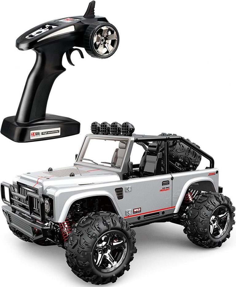 25 Best Remote Control Cars & Trucks under $20, $50, $100 (2024)