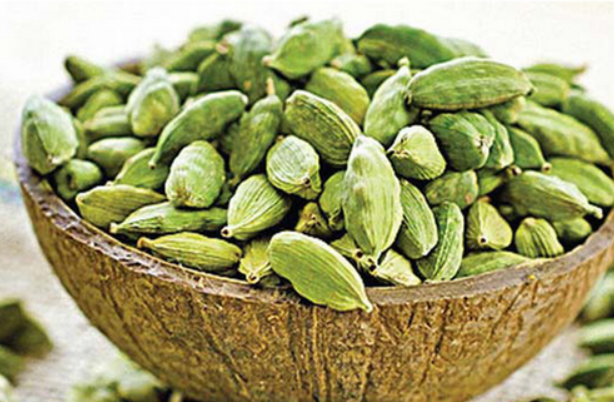 10 Best Elaichi Brands in India to buy in 2024