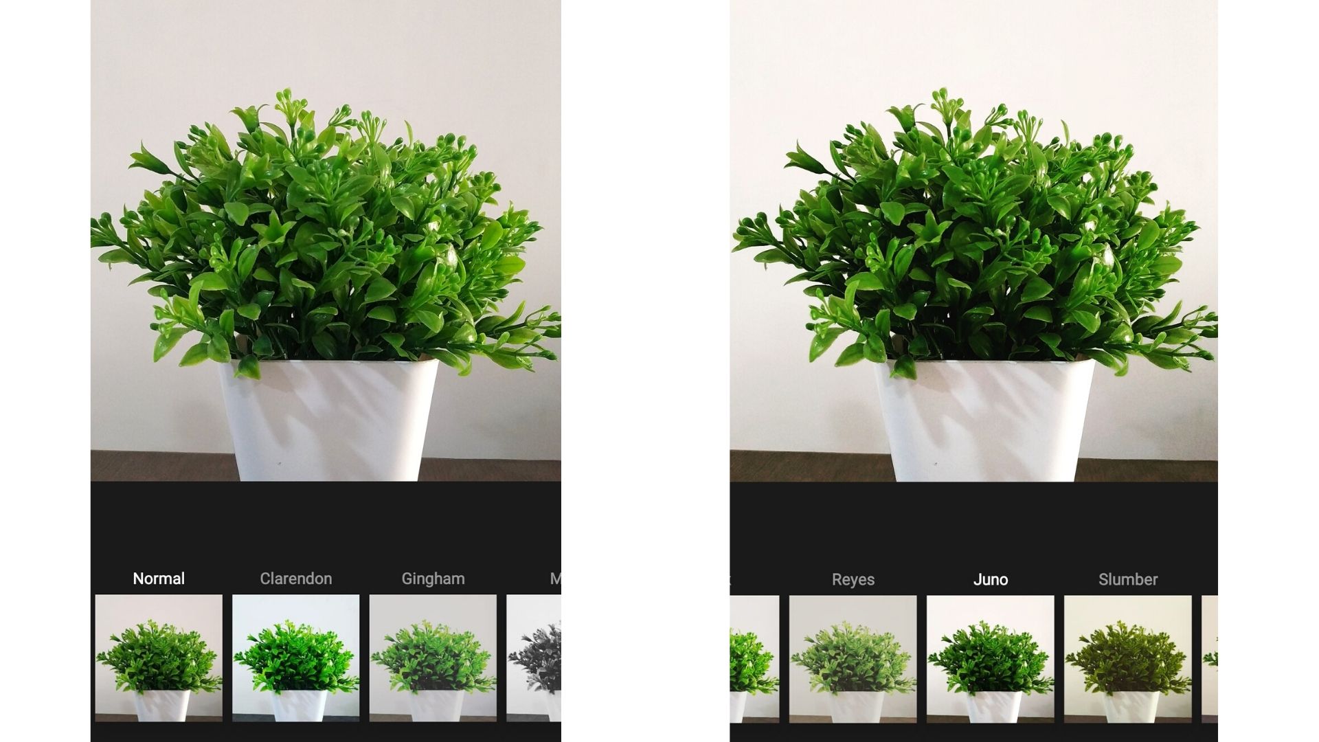 10 Most Popular Instagram Filters for Your Story & Post (2024)