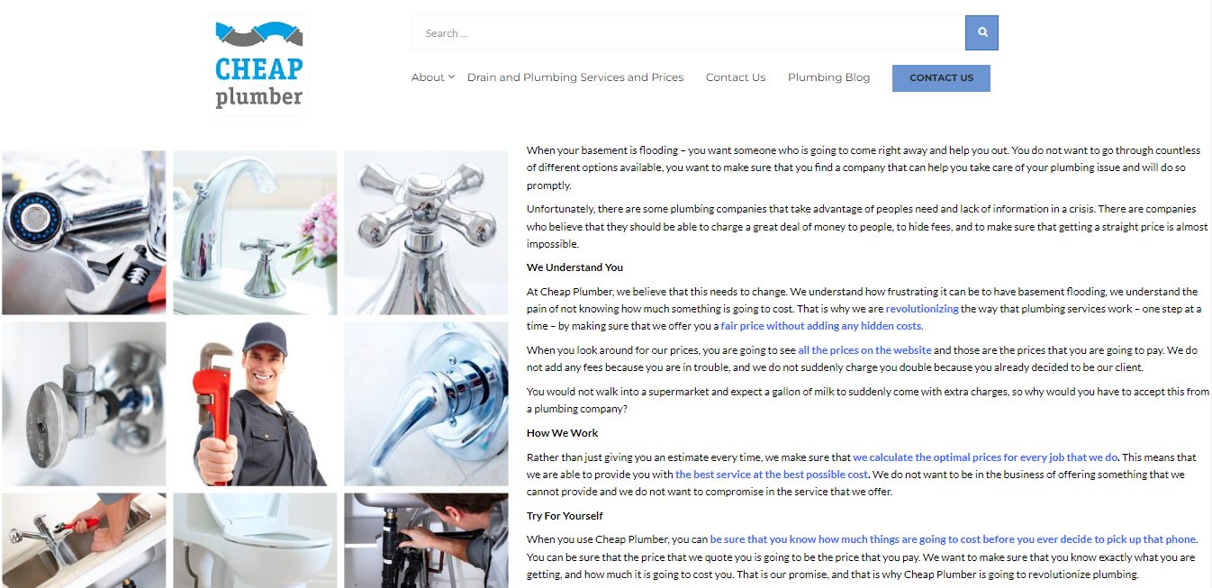 10 Best Plumbers In Toronto, Canada You can Hire in 2024