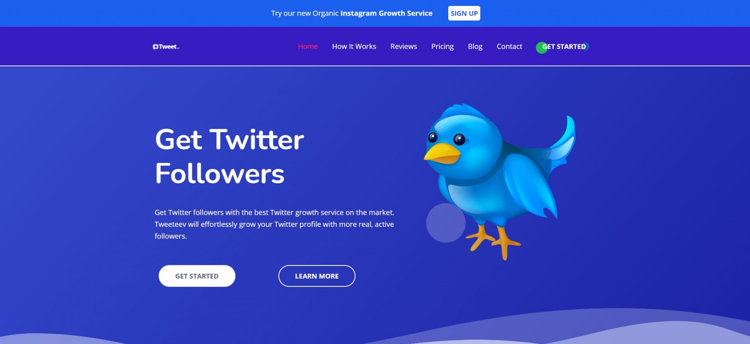 10 Best Twitter Growth Services for Organic Growth in 2024